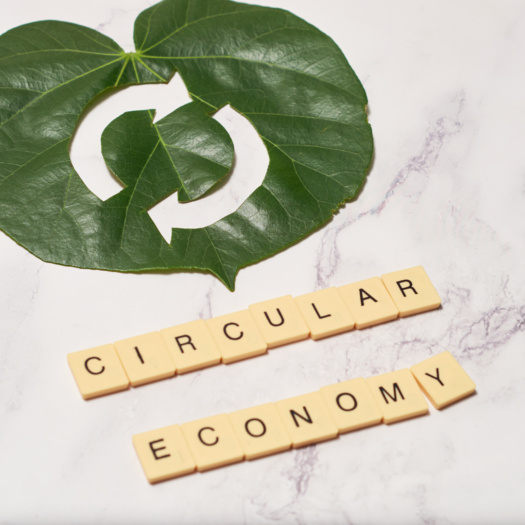 What is a circular economy? – yearth.